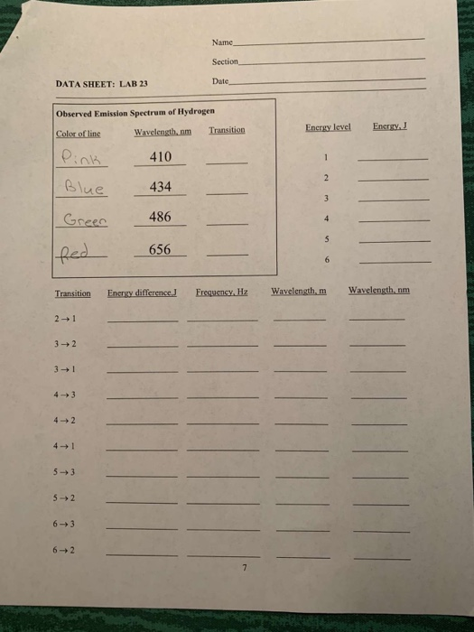 Solved Name Section DATA SHEET: LAB 23 Date Observed | Chegg.com