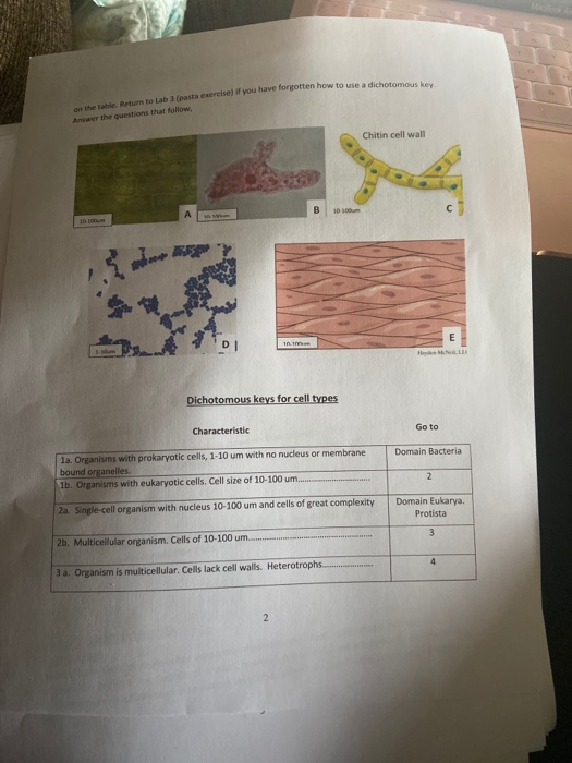 Solved on the table. Return to Lab pasta exercise) if you | Chegg.com