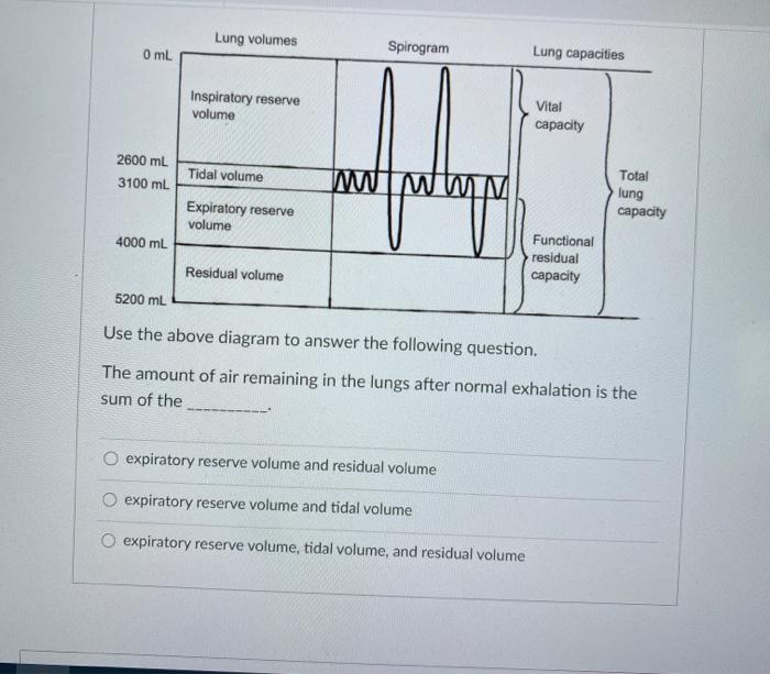 Solved Lung volumes O mL Spirogram Lung capacities | Chegg.com