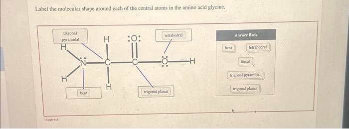 Solved Label the molecular shape around each of the central | Chegg.com