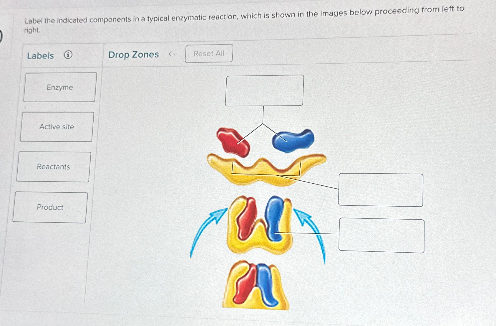 Solved Label the indicated components in a typical enzymatic | Chegg.com