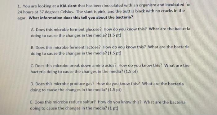Solved 1. You are looking at a KIA slant that has been | Chegg.com