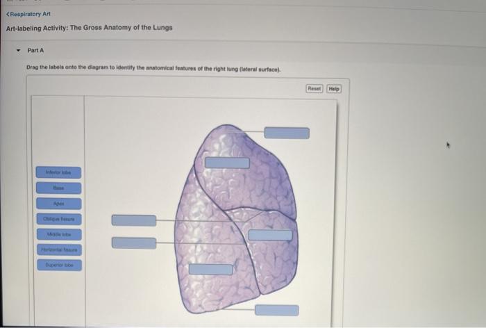 Solved Question | Chegg.com