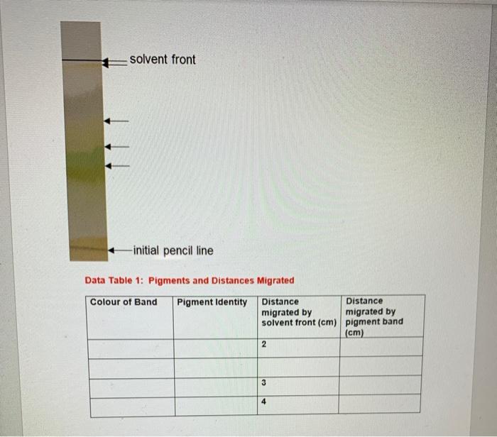 Solved solvent front initial pencil line Data Table 1: | Chegg.com