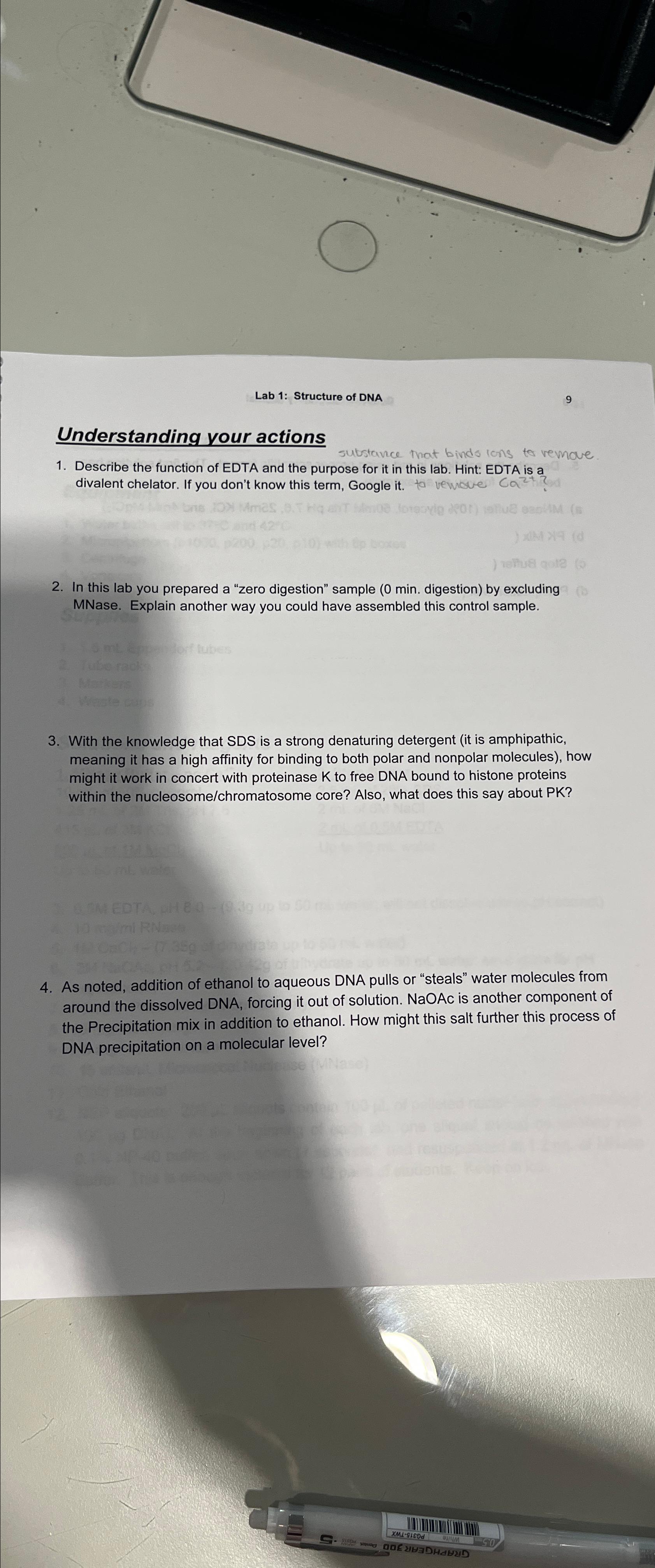 Solved Lab 1: Structure of DNA9Understanding vour | Chegg.com