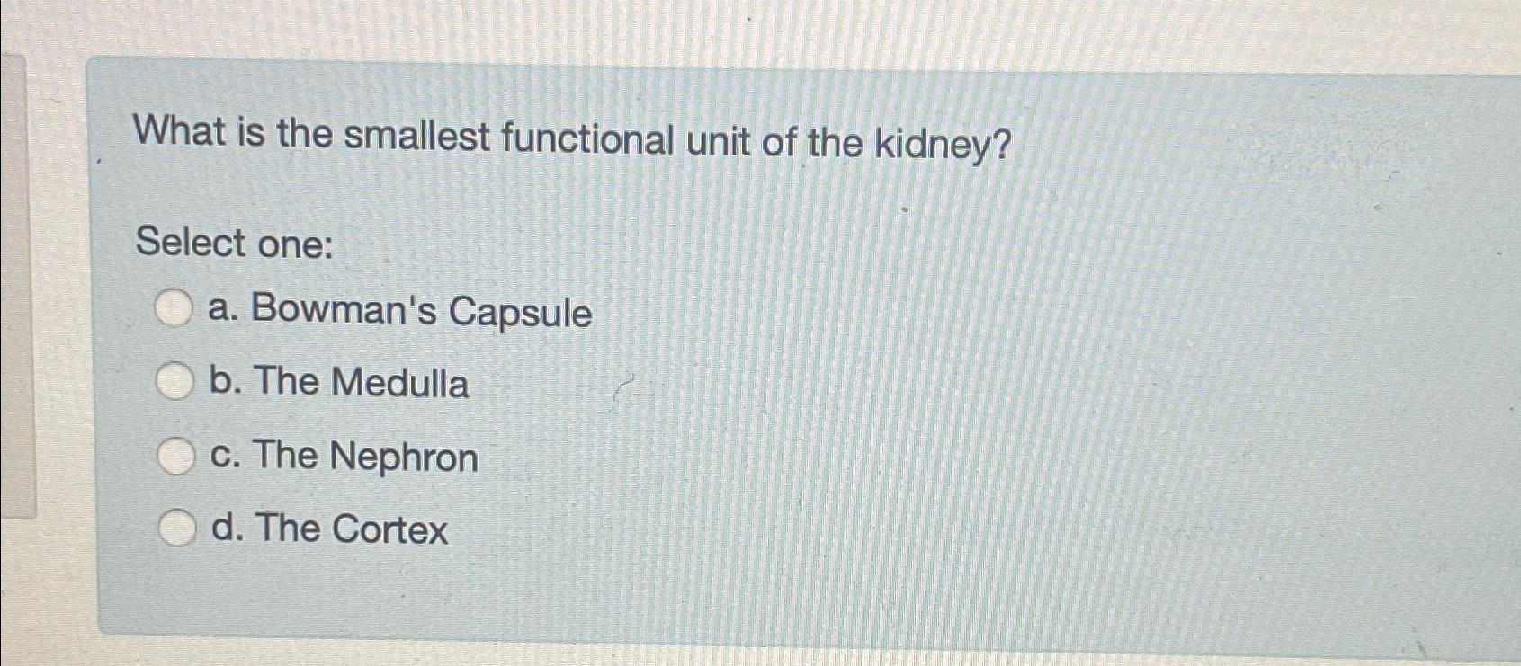 Solved What is the smallest functional unit of the | Chegg.com