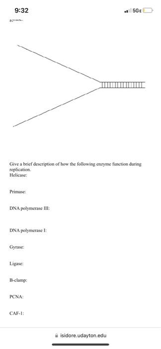 Solved Include the following details: Label the 5′ and 32 | Chegg.com