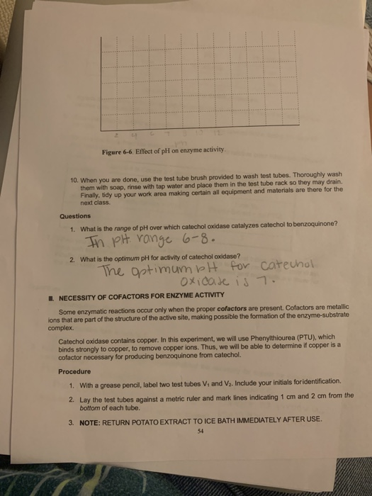 Lab 6B ENZYMES: BIOLOGICAL CATALYSTS OF LIFE . | Chegg.com
