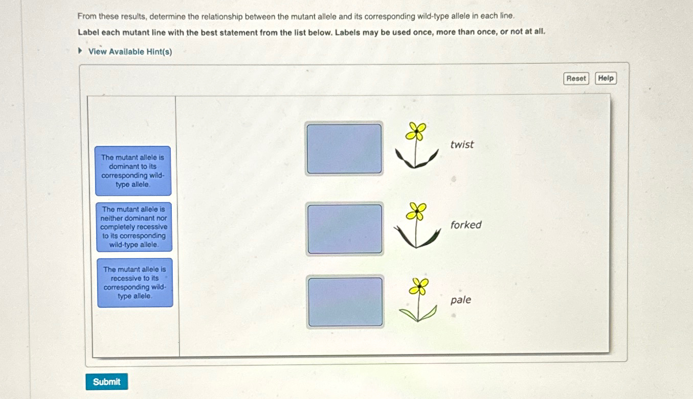 Solved From these results, determine the relationship | Chegg.com