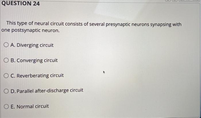 Solved QUESTION 24 This type of neural circuit consists of | Chegg.com
