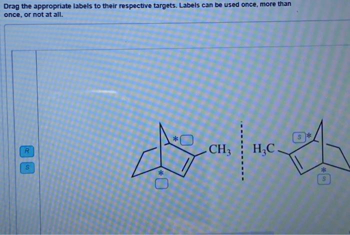 Solved Drag the appropriate labels to their respective | Chegg.com