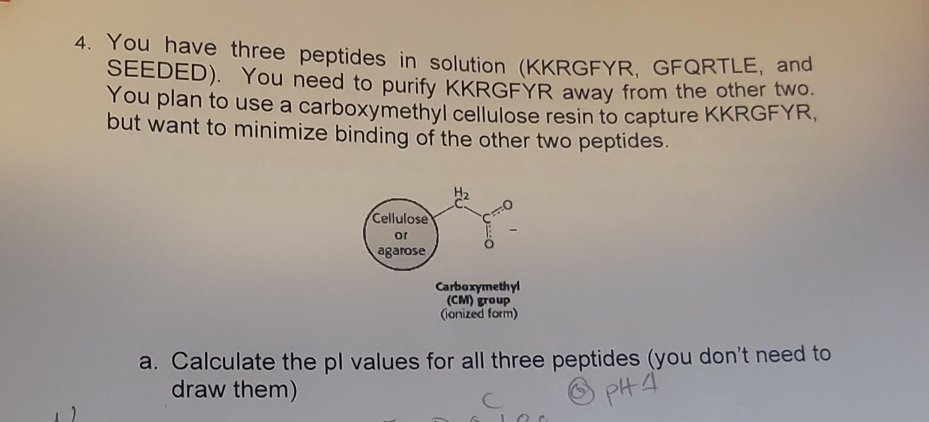 Solved can you explain the steps you take to get your answer | Chegg.com