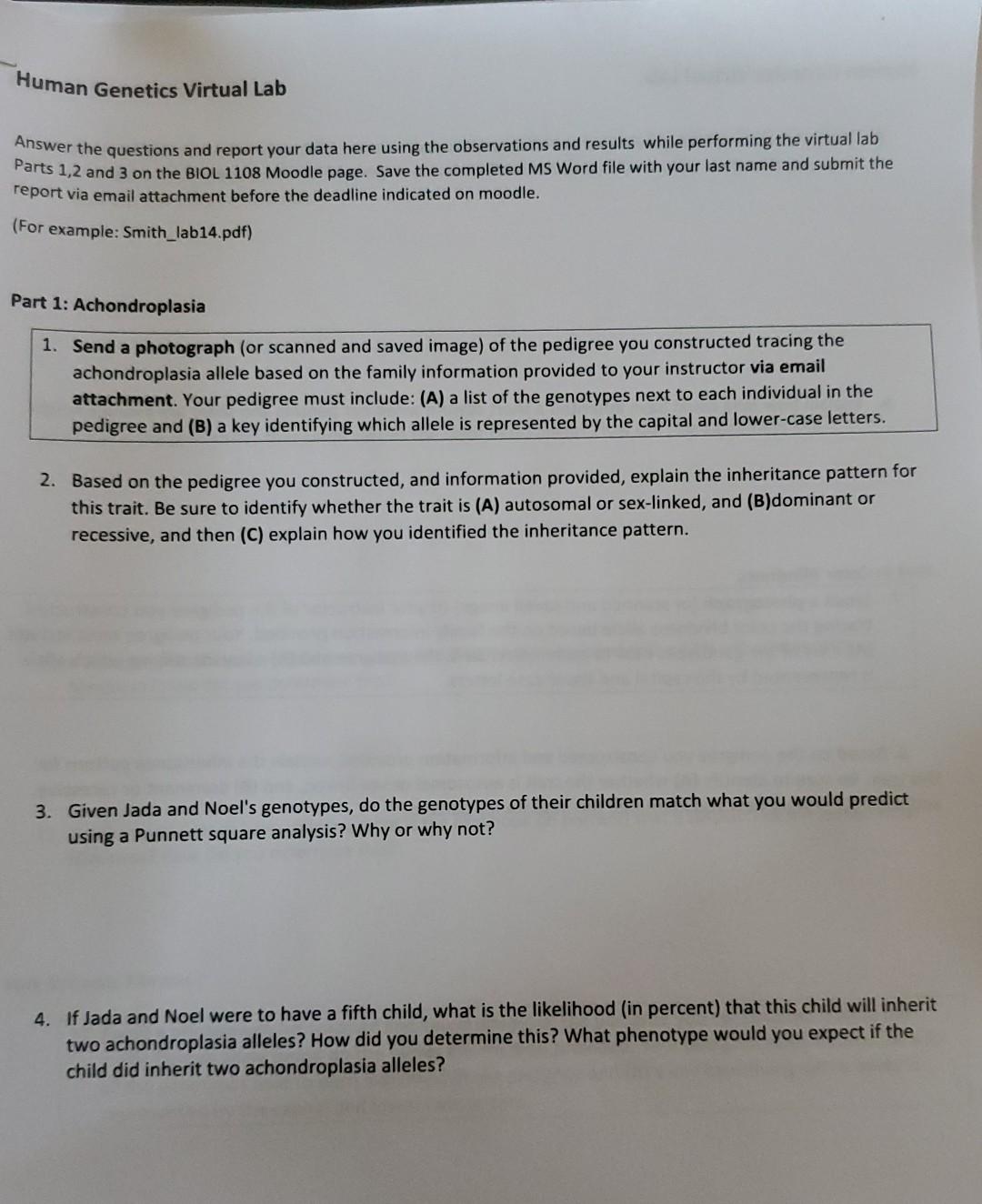 Human Genetics Virtual Lab Answer the questions and | Chegg.com