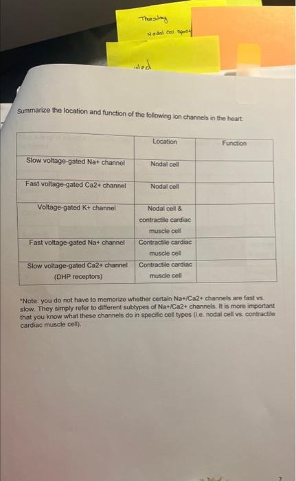Solved Summarize the location and function of the following | Chegg.com