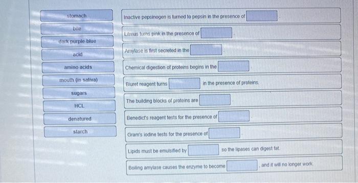 Solved stomach Inactive pepsinogen is turned to pepsin in | Chegg.com