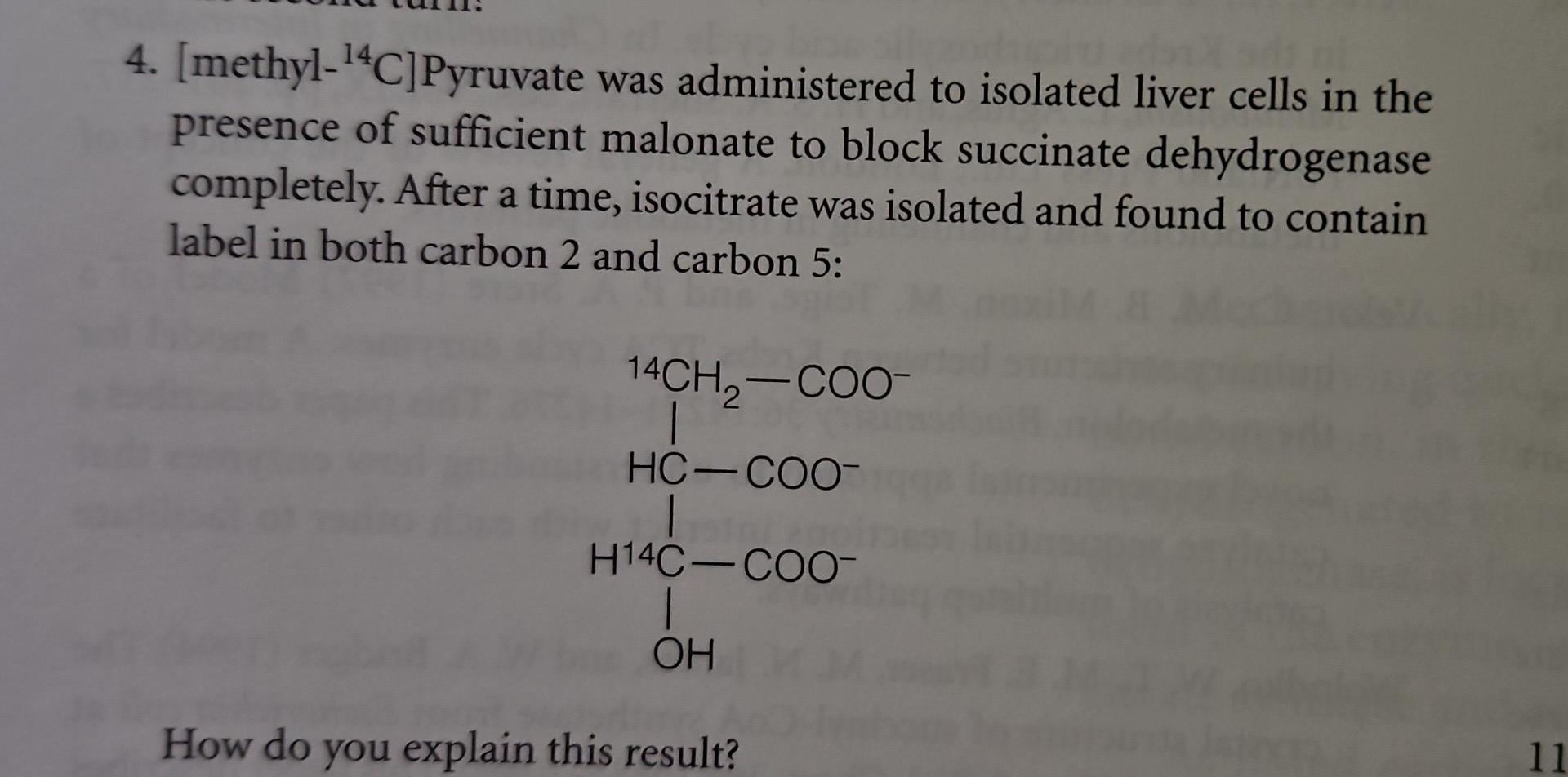Solved 4. [methyl- 14C] Pyruvate was administered to | Chegg.com