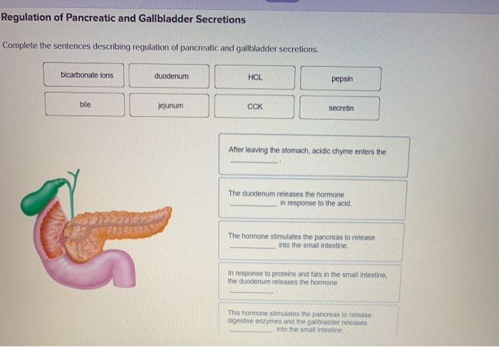 Solved Regulation of Pancreatic and Gallbladder Secretions | Chegg.com