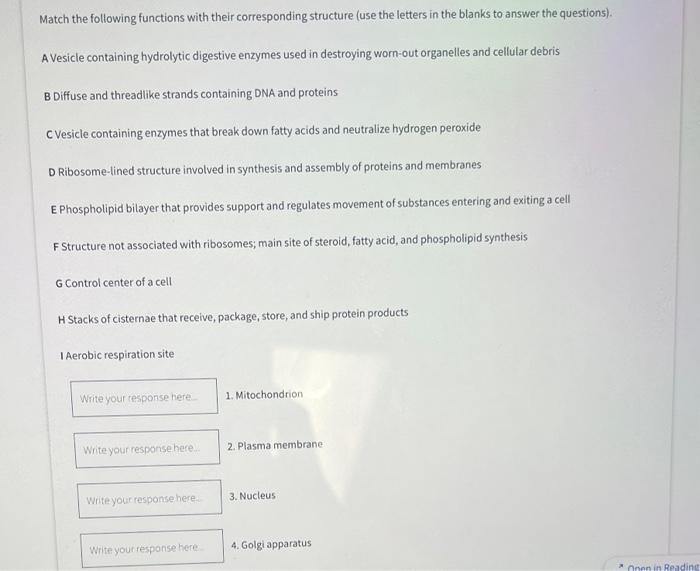 Solved Match the following functions with their | Chegg.com
