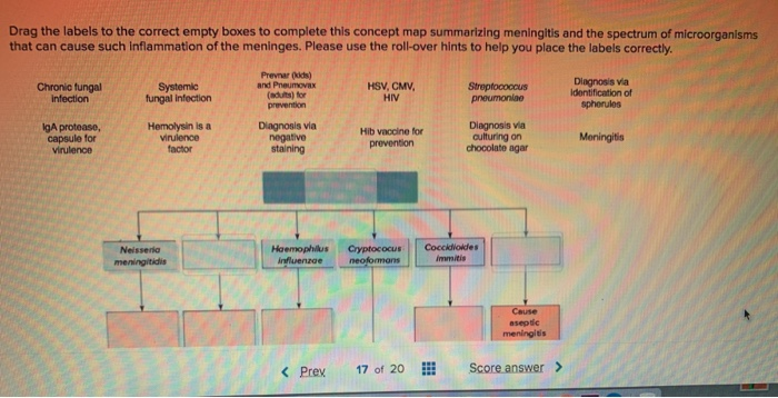 Drag the labels to the correct empty boxes to | Chegg.com