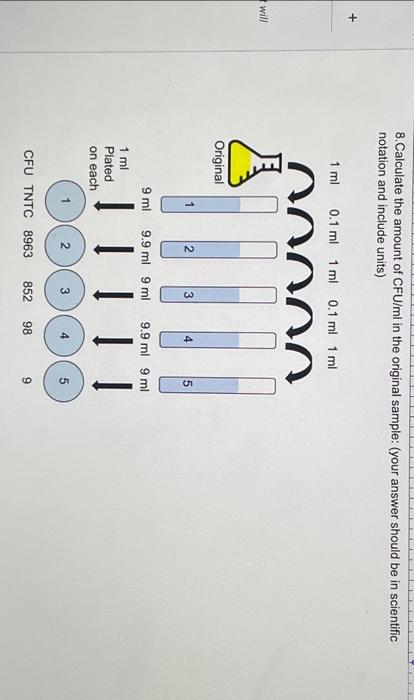 Solved + t will 8.Calculate the amount of CFU/ml in the | Chegg.com