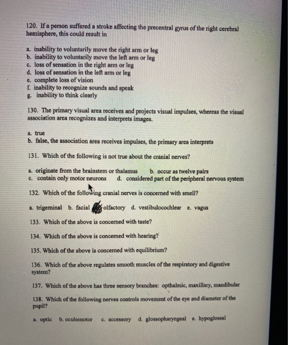 solved-120-if-a-person-suffered-a-stroke-affecting-the-chegg