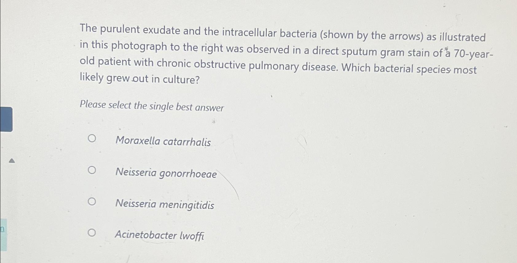 Solved The purulent exudate and the intracellular bacteria | Chegg.com