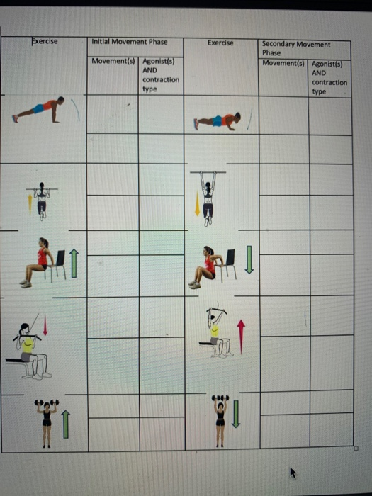Solved Exercise Initial Movement Phase Exercise Movement(6) | Chegg.com