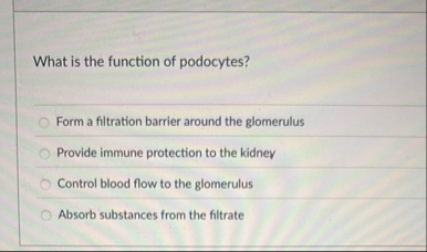 Solved What is the function of podocytes?Form a filtration | Chegg.com