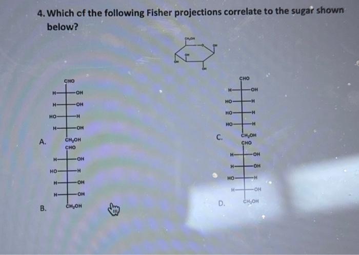 Solved 4. Which of the following Fisher projections | Chegg.com