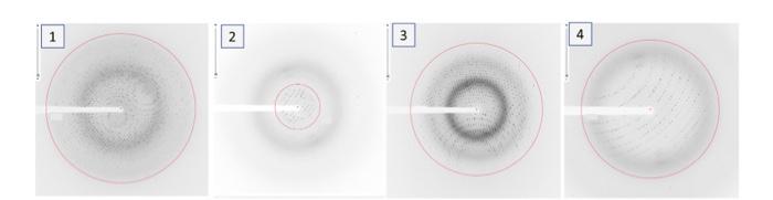 Solved The following protein crystal diffraction patterns | Chegg.com