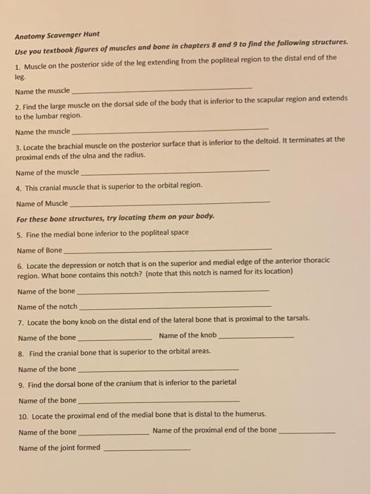 Solved Anatomy Scavenger Hunt Use you textbook figures of | Chegg.com