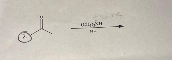 Solved H+ (CH3)2NH | Chegg.com