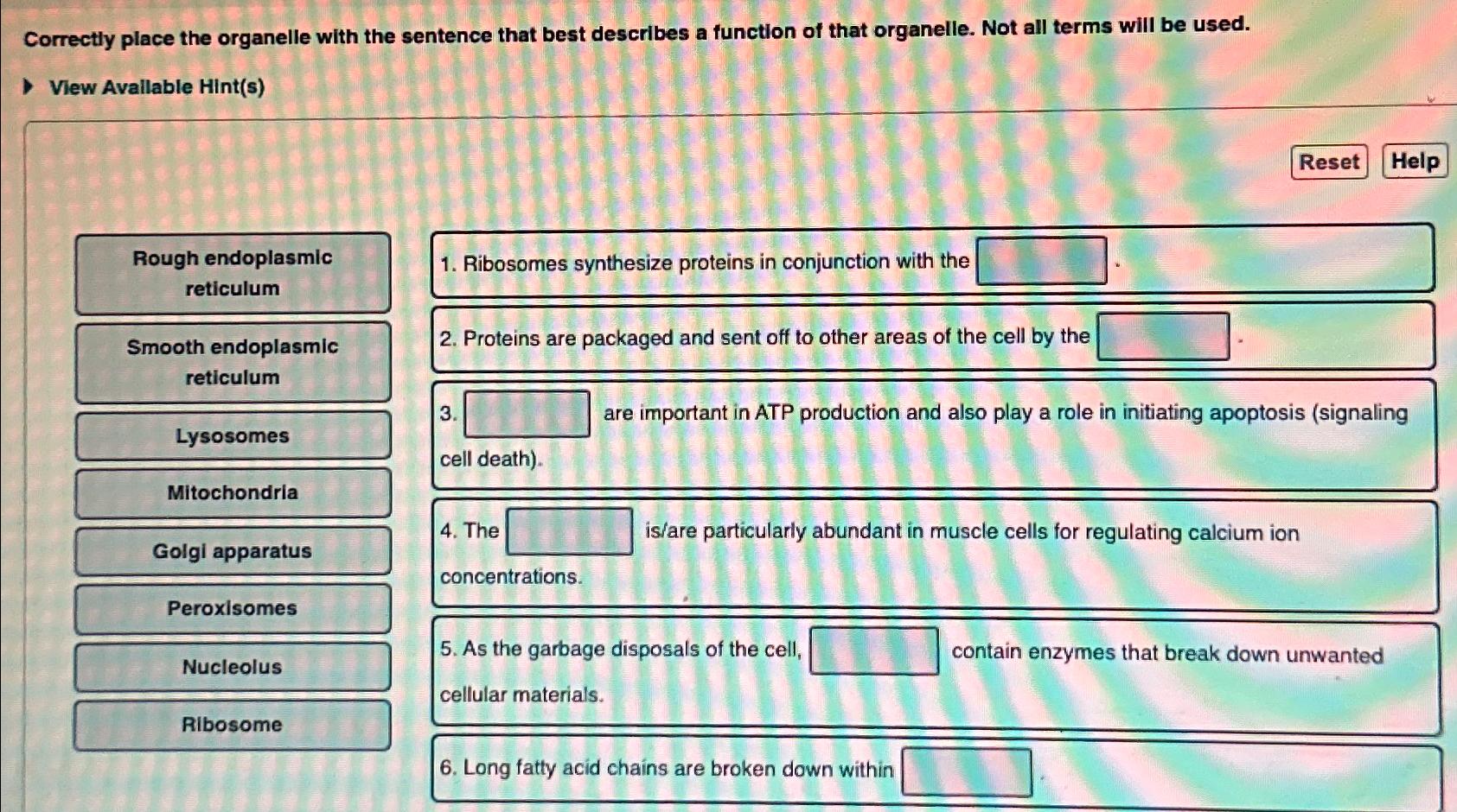 Solved Correctly place the organelle with the sentence that | Chegg.com