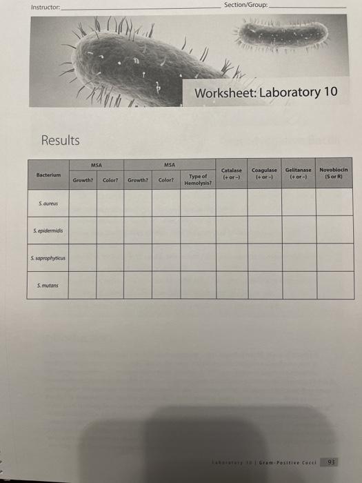 Solved Instructor Section/Group: Worksheet: Laboratory 10 | Chegg.com Solved Instructor Section/Group: Worksheet: Laboratory 10 | Chegg.com