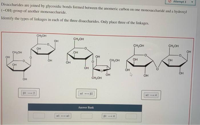 Solved Disaccharides are joined by glycosidic bonds formed | Chegg.com