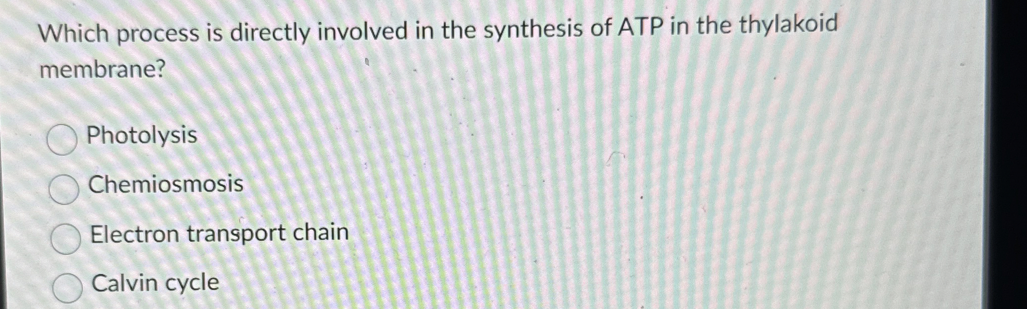 Solved Which process is directly involved in the synthesis | Chegg.com