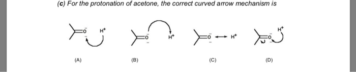 Solved (c) For the protonation of acetone, the correct | Chegg.com
