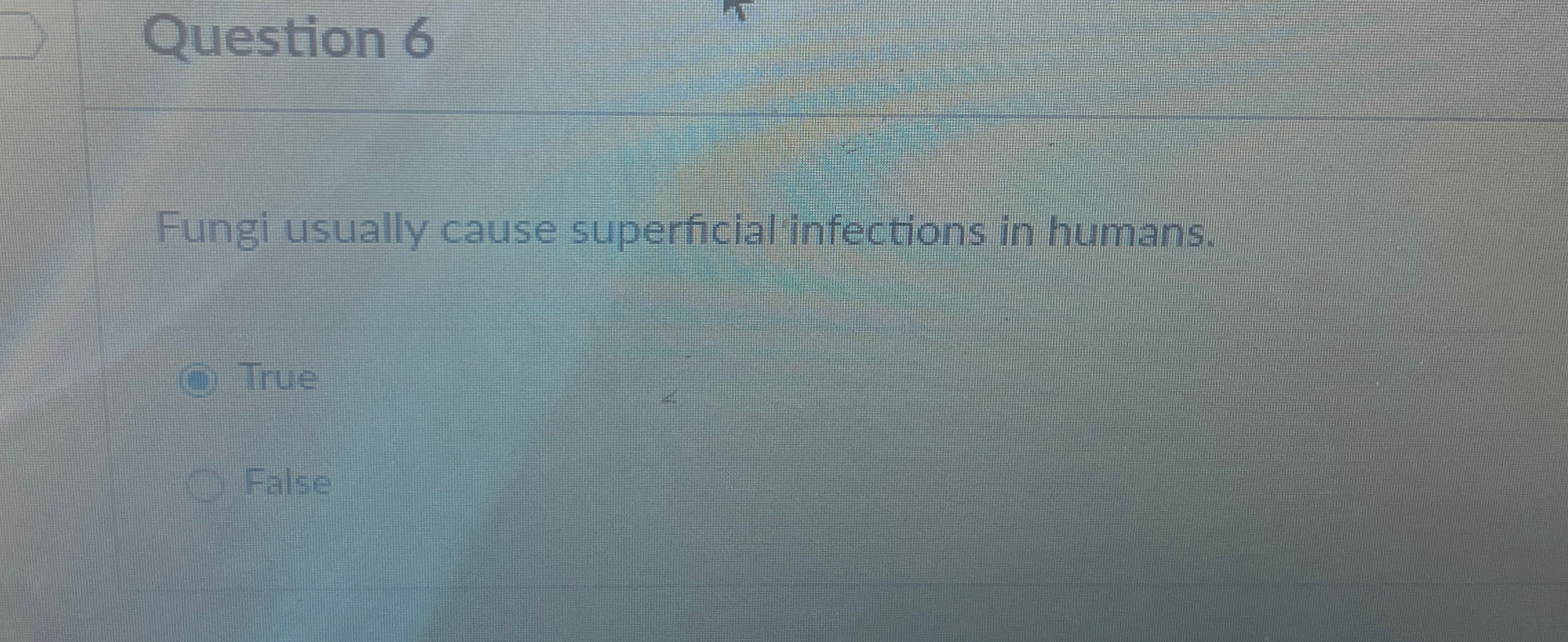 Solved Question 6Fungi usually cause superficial infections | Chegg.com