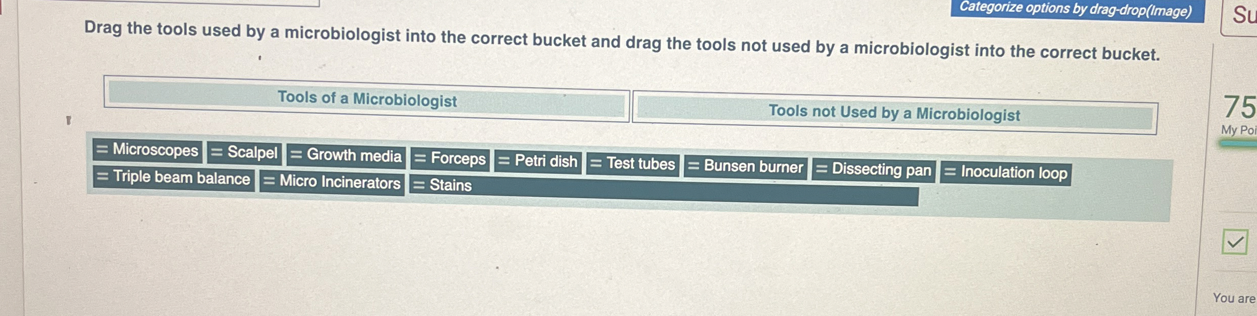 Solved Categorize options by drag-drop(Image)Drag the tools | Chegg.com
