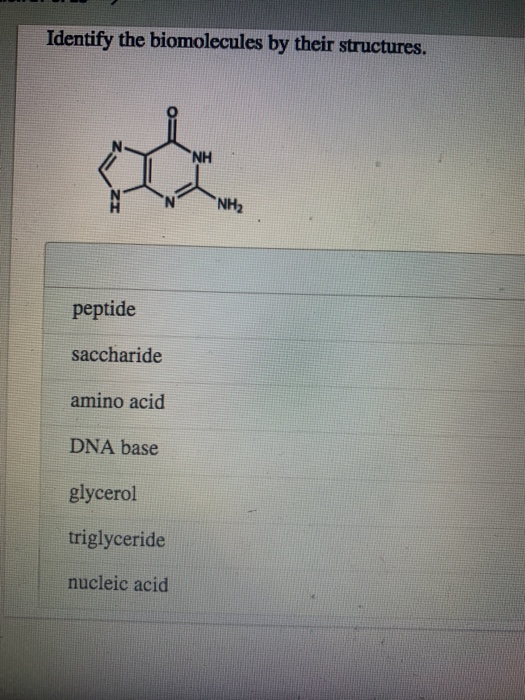 Solved Identify the biomolecules by their structures. NH NH2 | Chegg.com