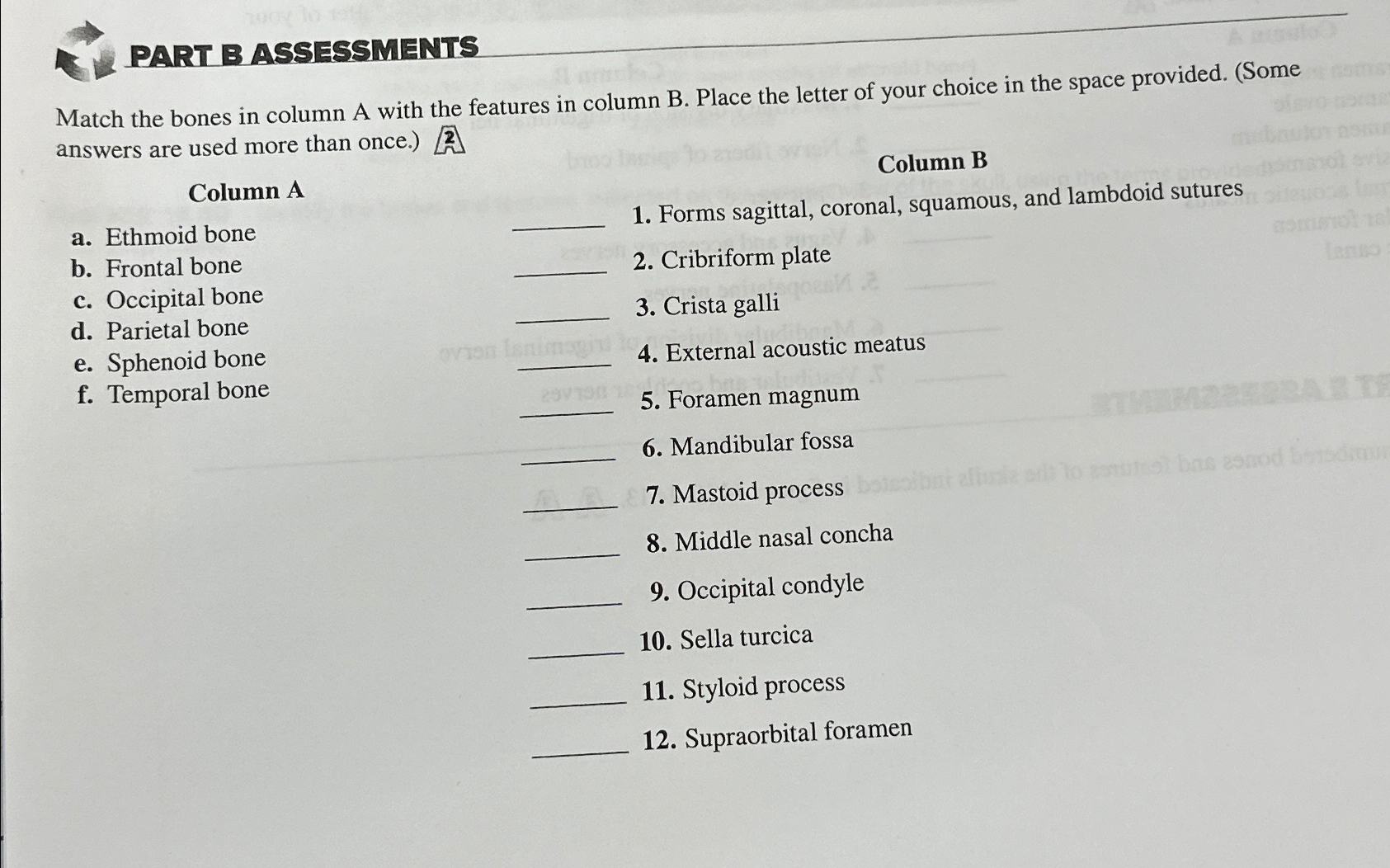 Solved PART B ASSESSMENTSMatch the bones in column A with | Chegg.com