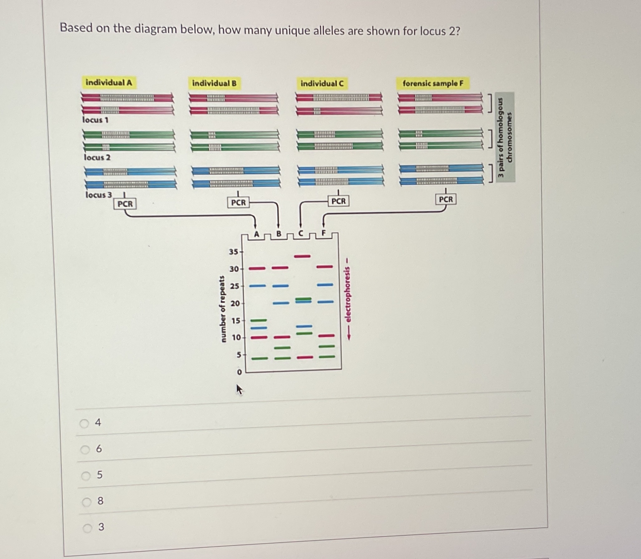 Solved Based on the diagram below, how many unique alleles | Chegg.com