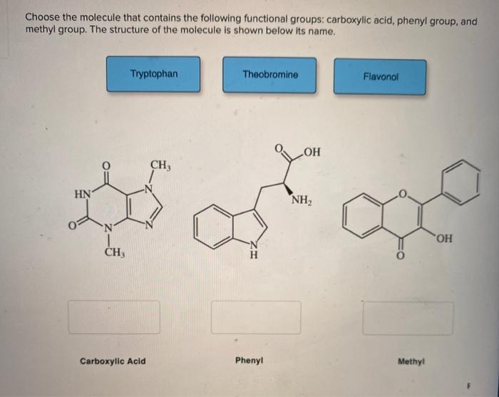 Solved Choose the molecule that contains the following | Chegg.com