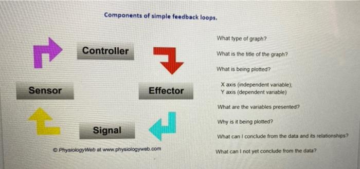 Solved Components of simple feedback loops. Controller What | Chegg.com