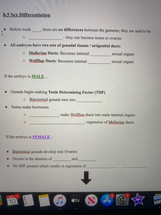 Solved 2. Morulation (“Cleavage” Stage) • A lot of (cell | Chegg.com