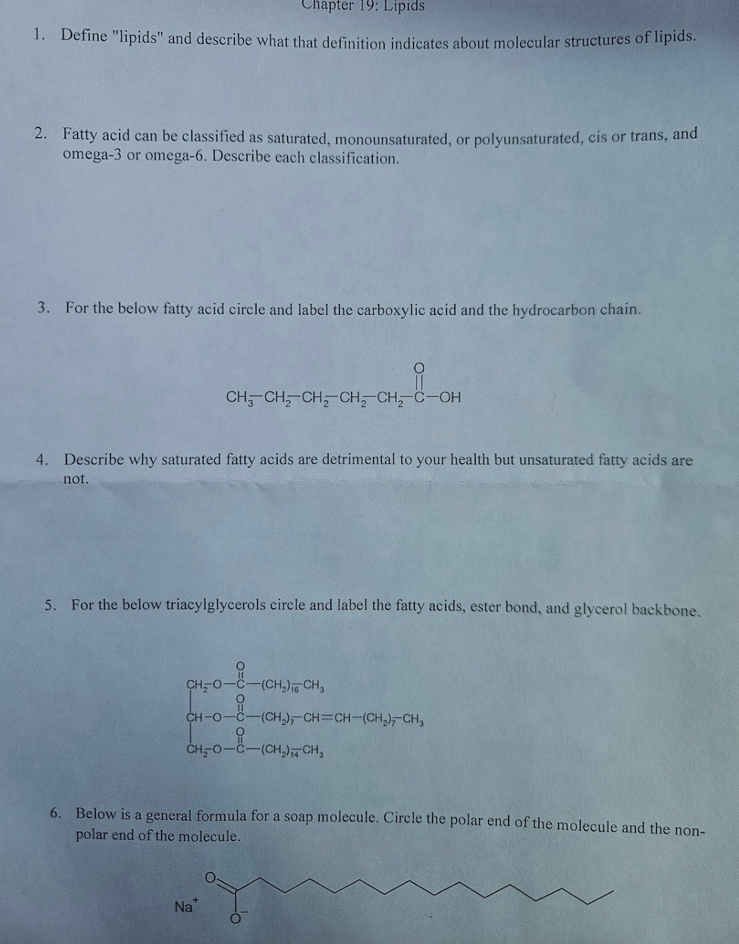 Solved Chapter 19: LipidsDefine "lipids" and describe what | Chegg.com