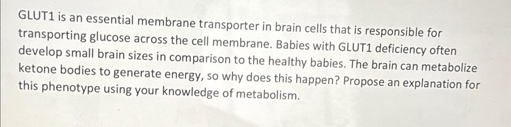 Solved GLUT1 ﻿is an essential membrane transporter in brain | Chegg.com