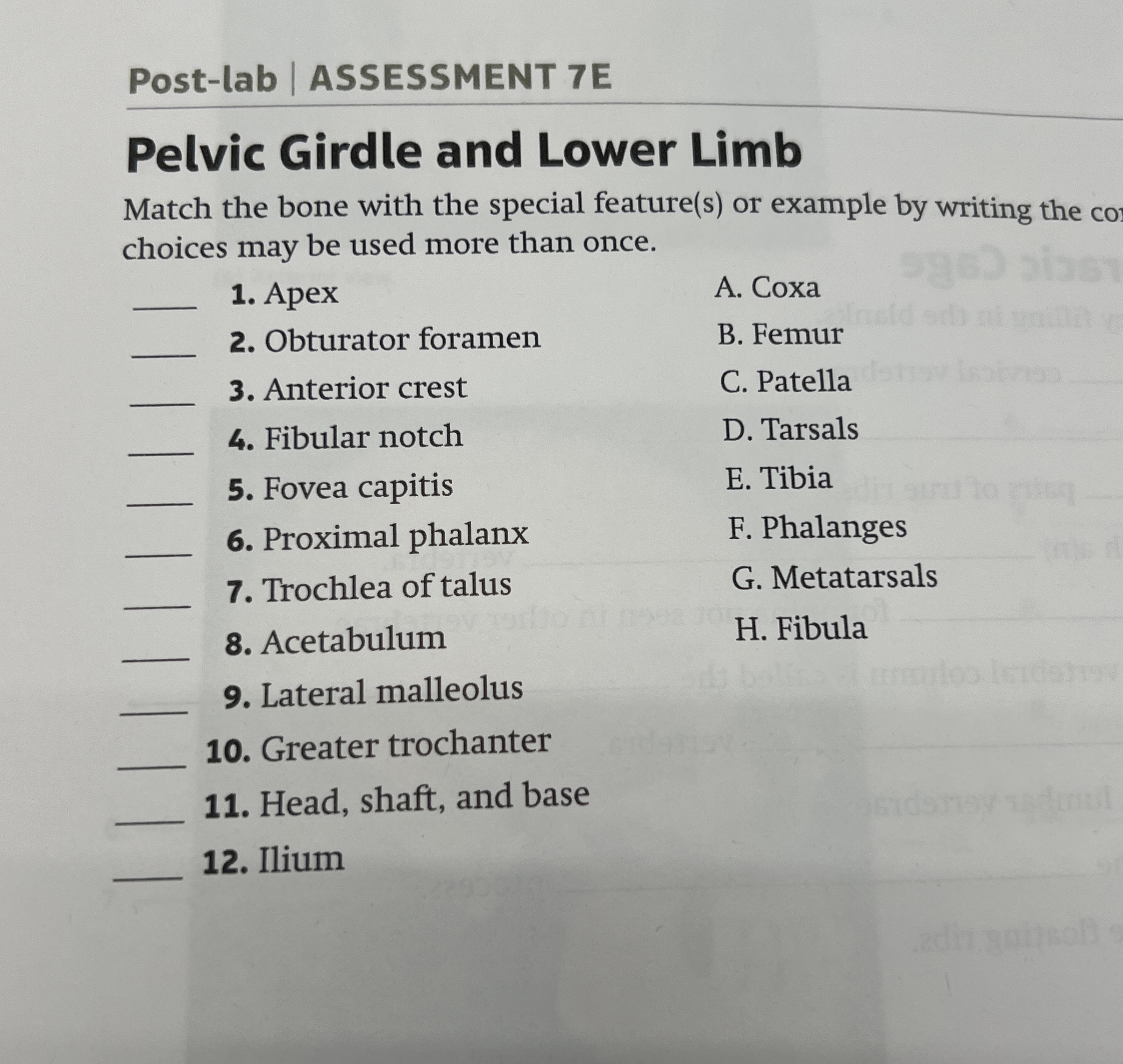 Solved Pelvic Girdle and Lower LimbMatch the bone with the | Chegg.com
