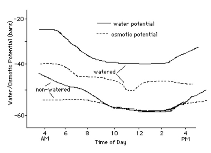 The graph below shows the water potential (Ψw) and | Chegg.com