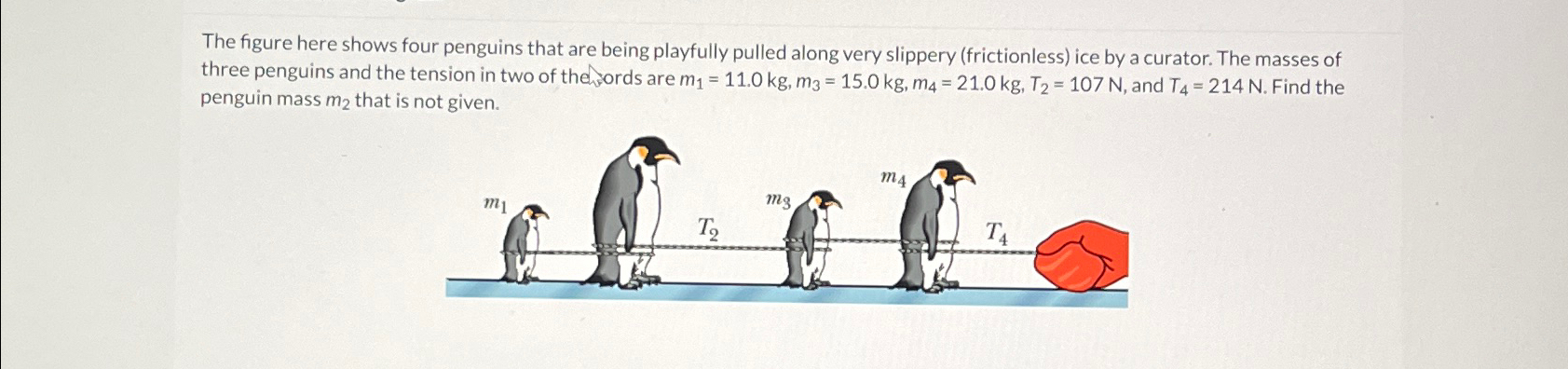 The figure here shows four penguins that are being | Chegg.com